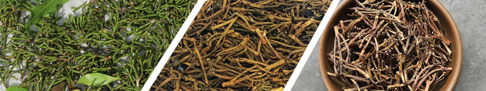 Cloves Stem | CEIAL AGRO