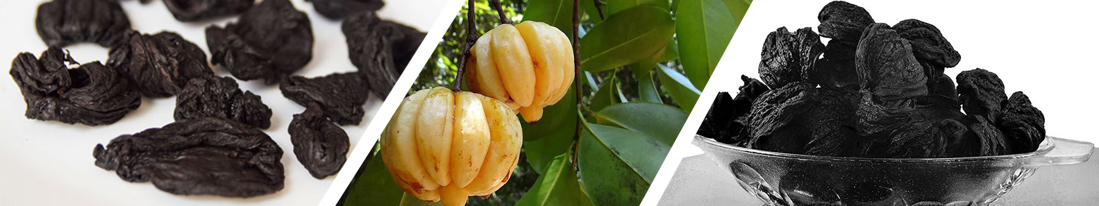 Kudampuli | Kudampuli Today Price | Malabar Tamarind