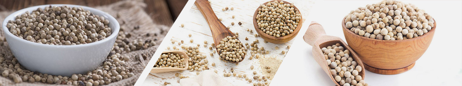 Whole White Pepper | White Pepper Price In Sri Lanka